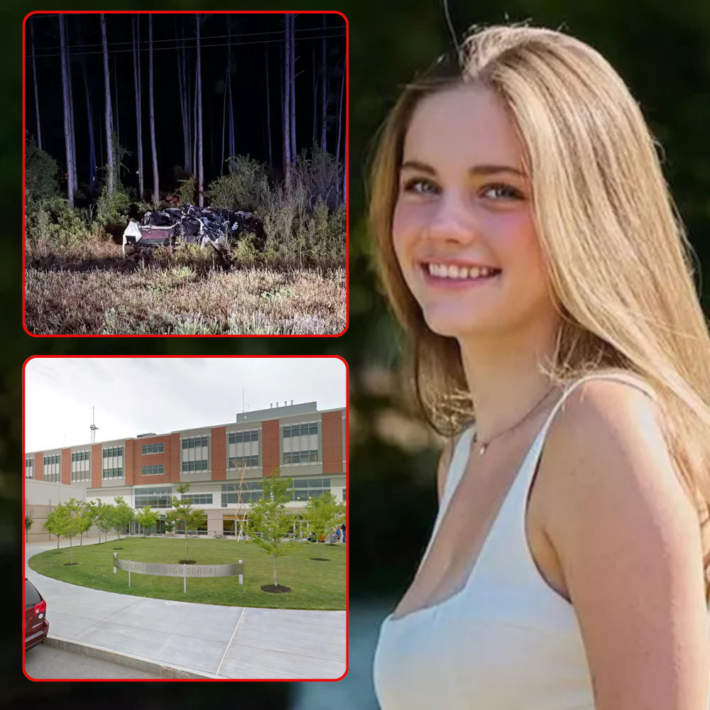 Tragedy on Spring Break 💔 Three Massachusetts seniors lost their lives ...