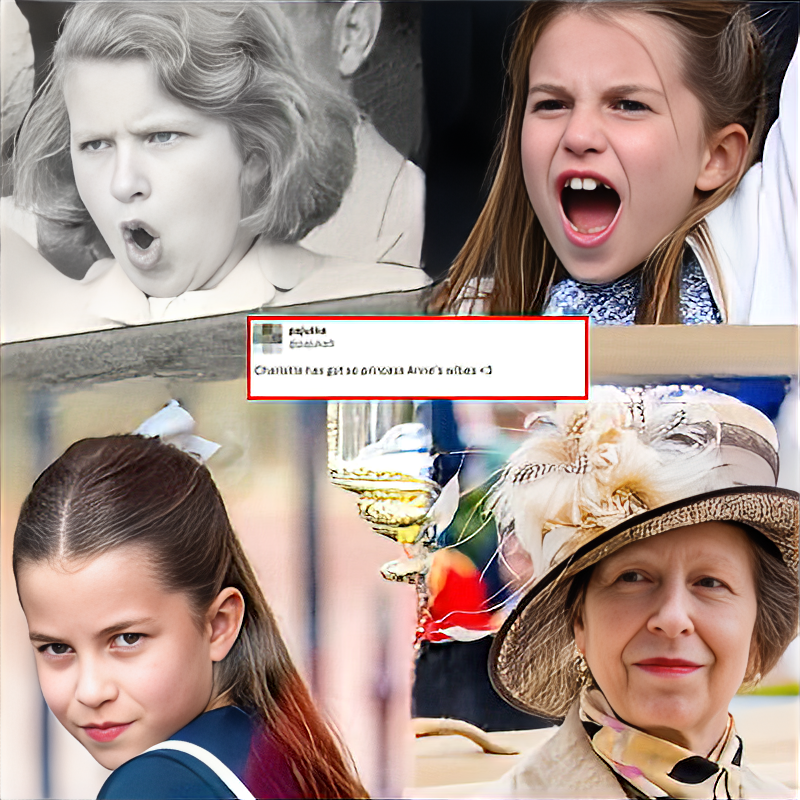 SHOCKING ROYAL TWIST: Princess Anne Unexpectedly Hands Down Honorary ...