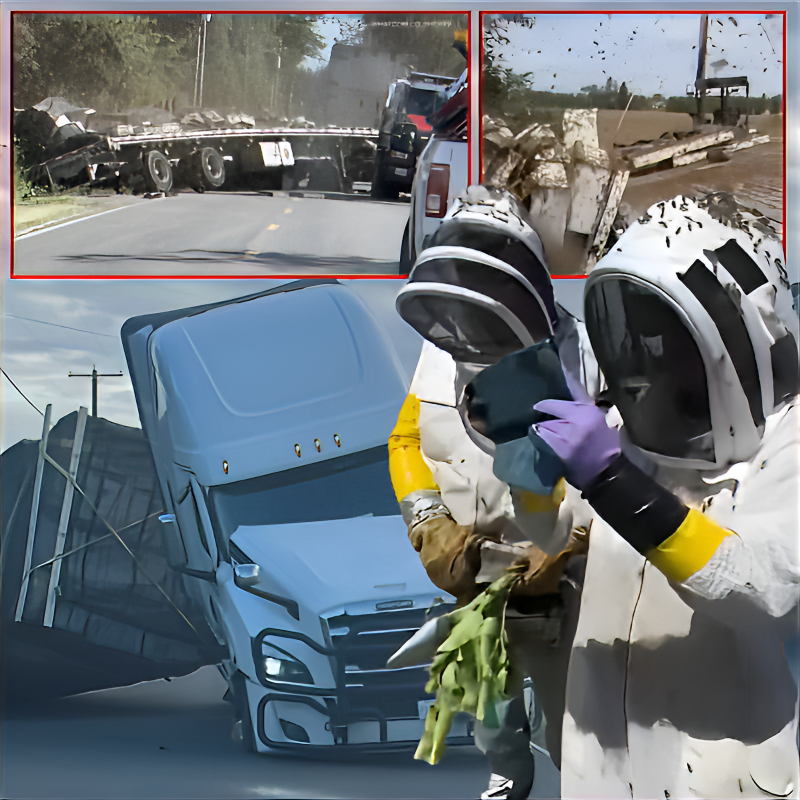 Volunteer beekeepers swarm to rescue spilled hives after crash - usnews