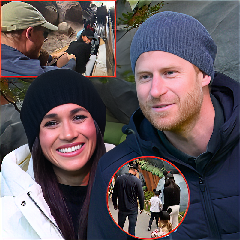 Meghan Markle Shares Photos from Disneyland with Prince Harry and Kids Archie, 6, and Lili, 4 ...