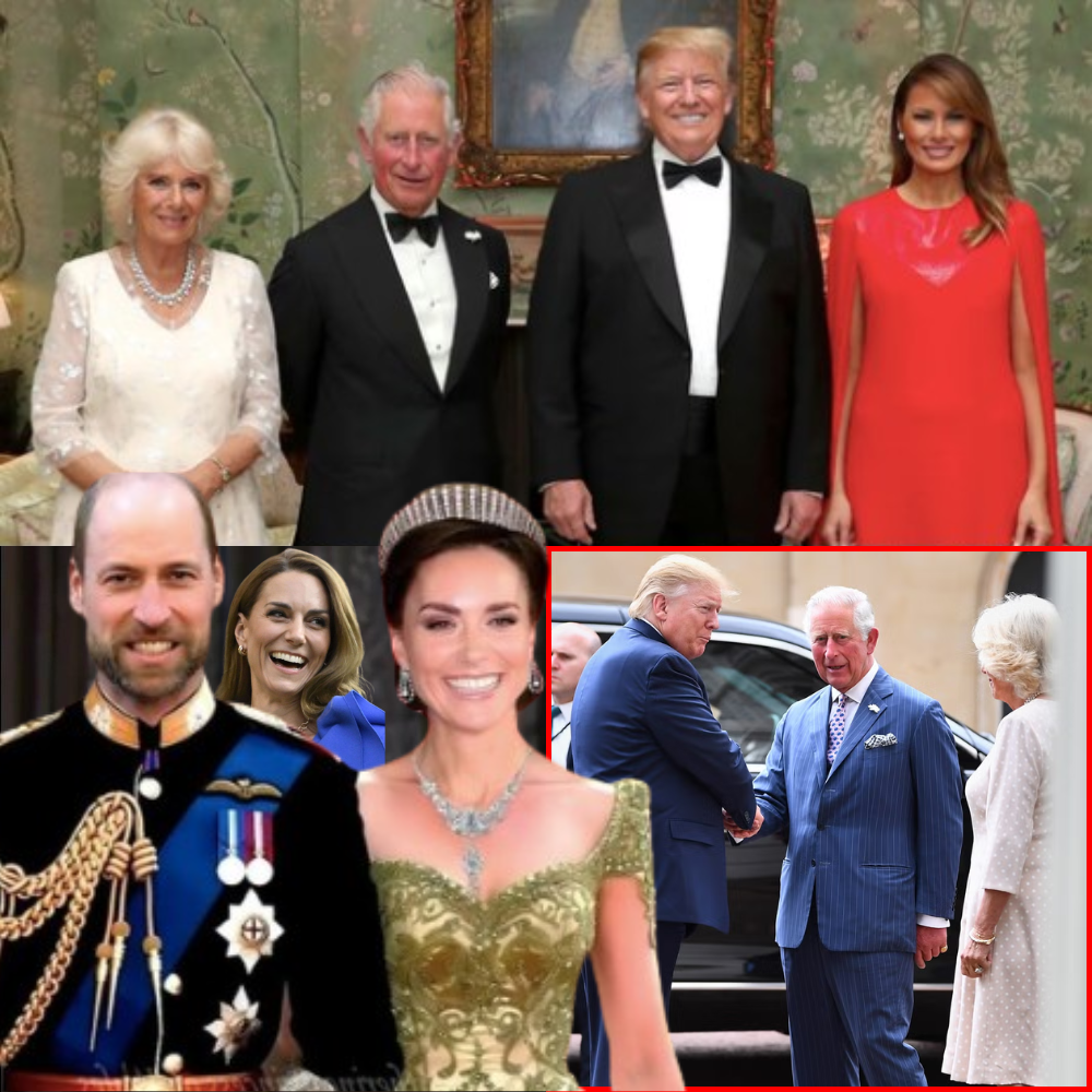 🔥😱 Palace CONFIRMS: Princess Catherine’s Major Role In Donald Trump ...